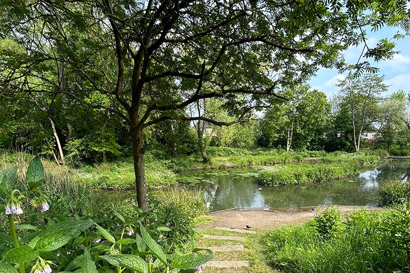 Brickfields Park - Rushmoor Borough Council