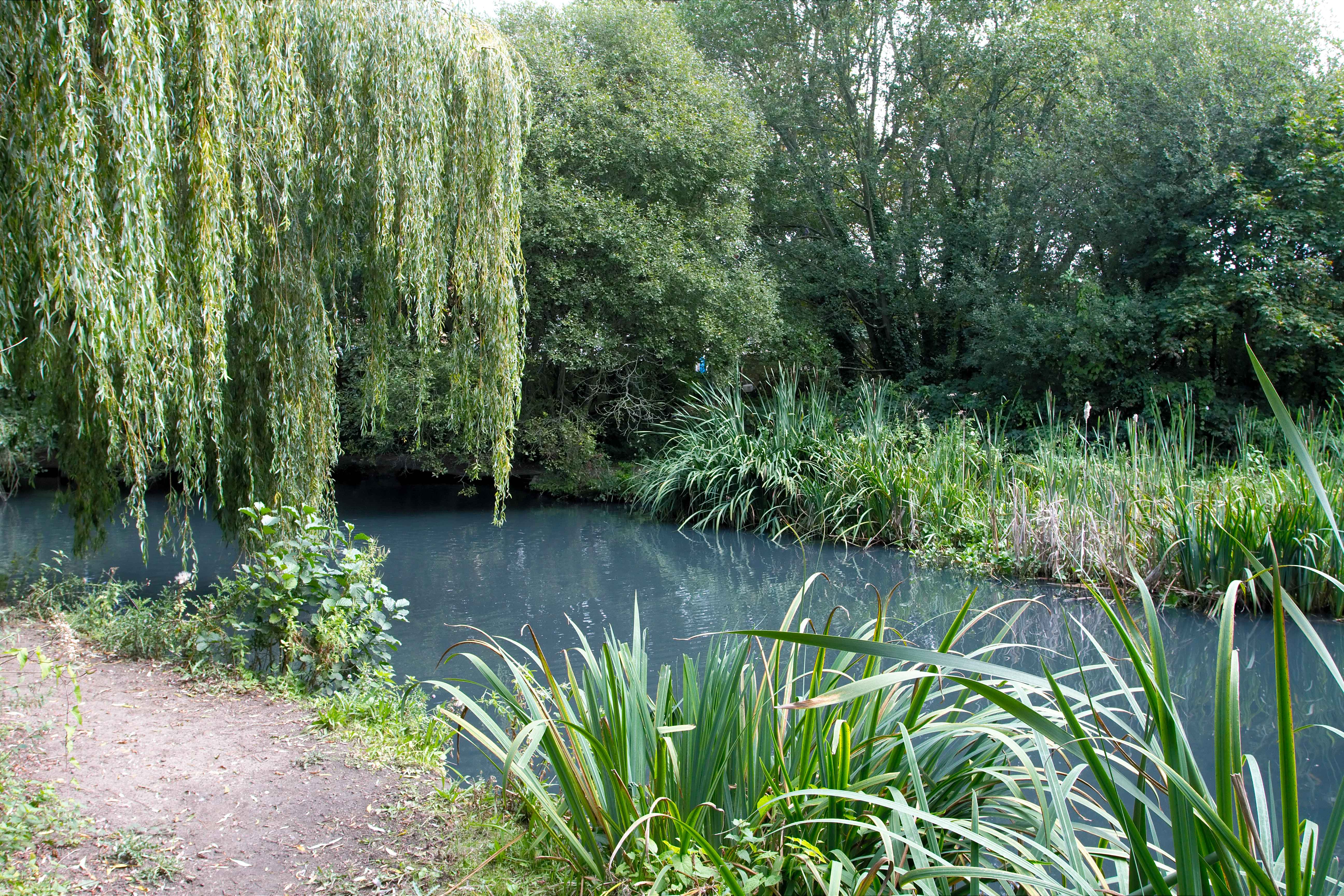 Brickfields Country Park - Rushmoor Borough Council