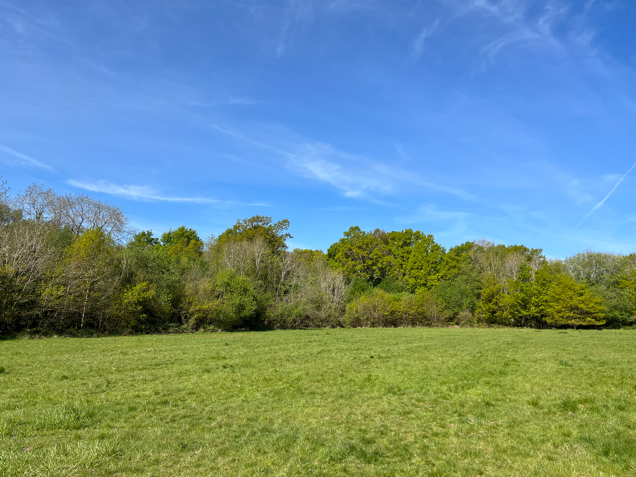 Rowhill Nature Reserve - Rushmoor Borough Council
