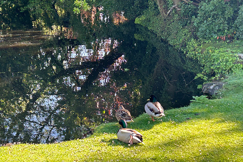 Manor Park and play area - Rushmoor Borough Council