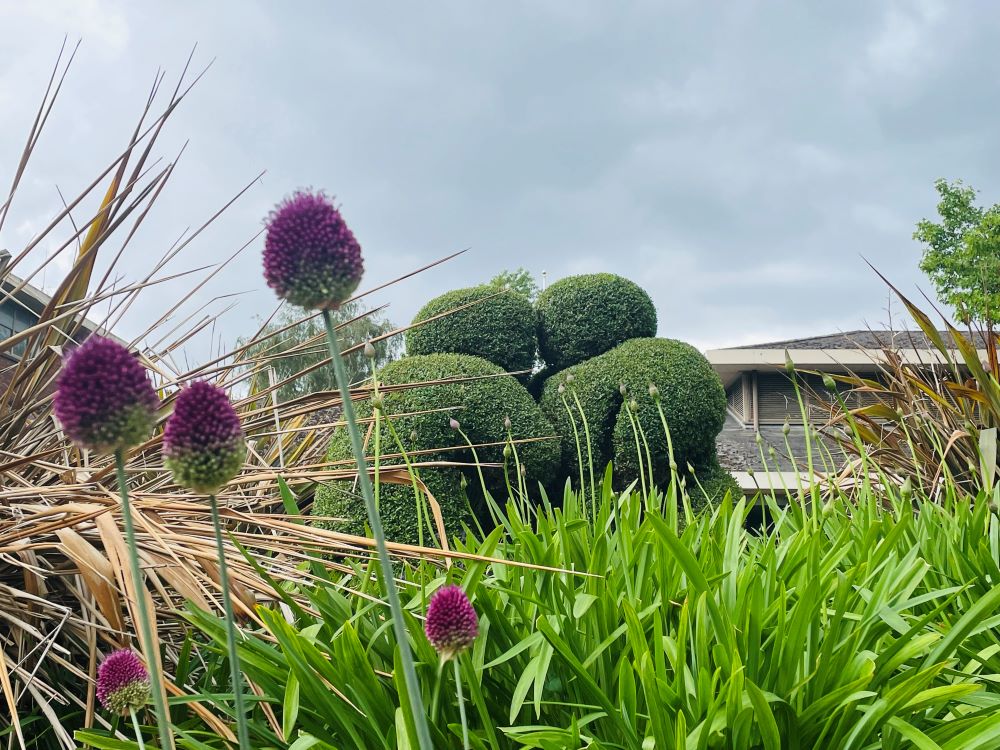 Home - Rushmoor Borough Council