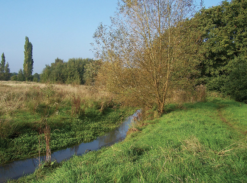 Cove Brook Greenway - Rushmoor Borough Council