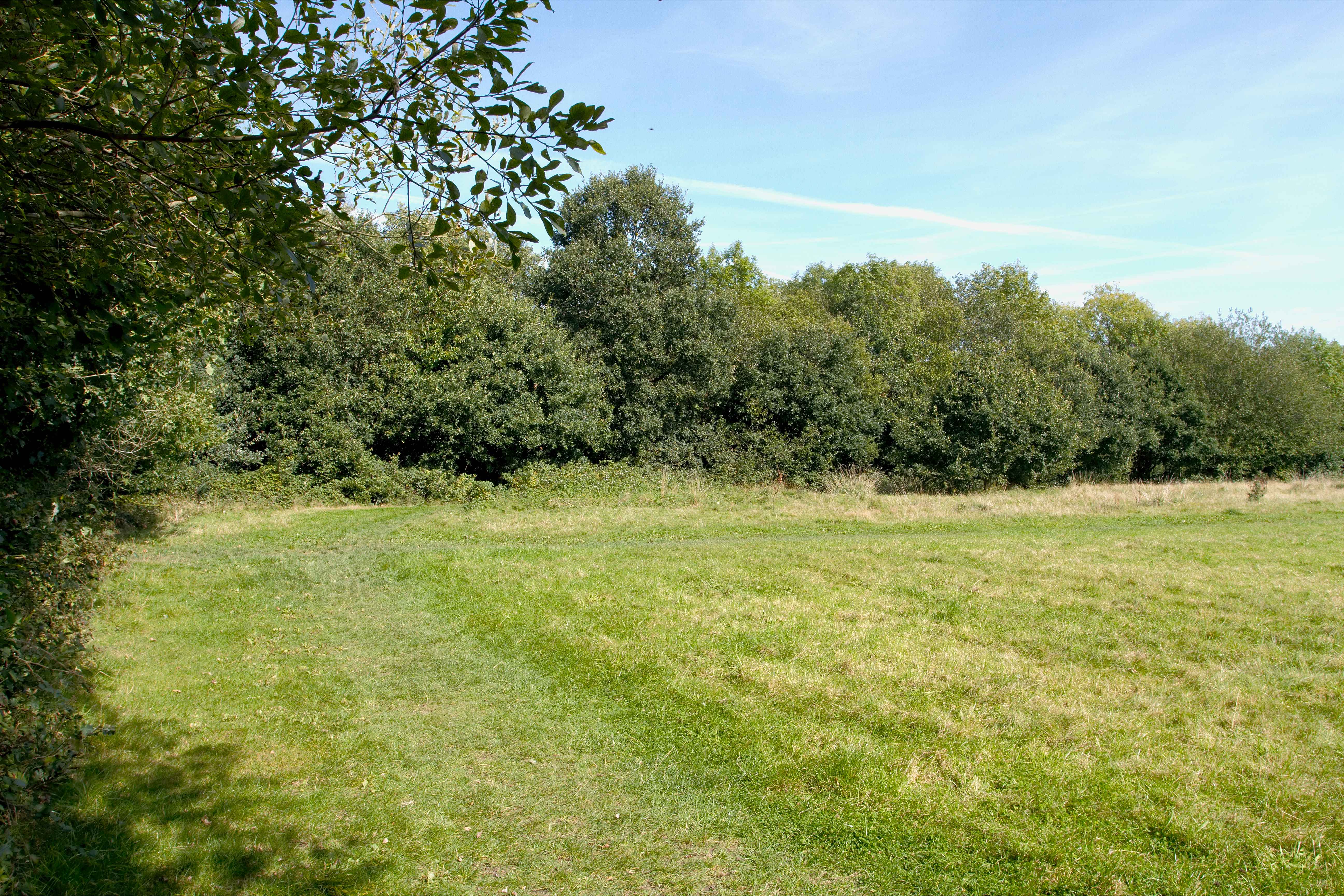 Rowhill Nature Reserve - Rushmoor Borough Council